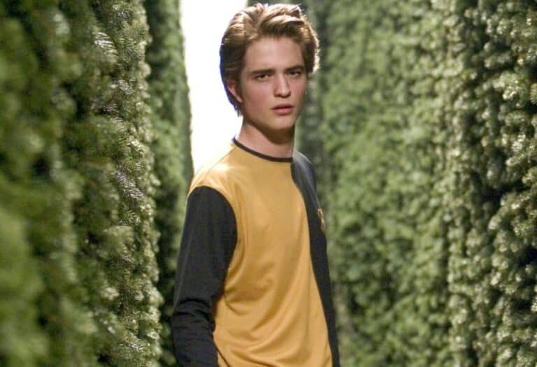 Cedric Diggory Character Bio - Wizards Welcome
