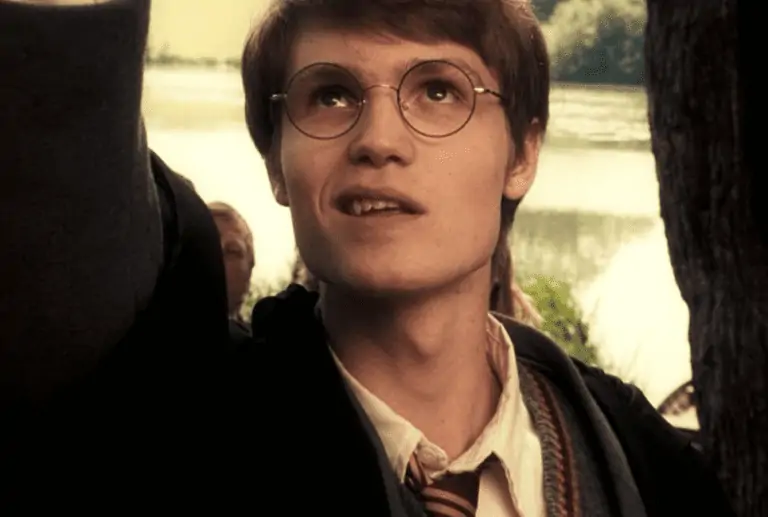 James Potter Character Guide - Wizards Welcome