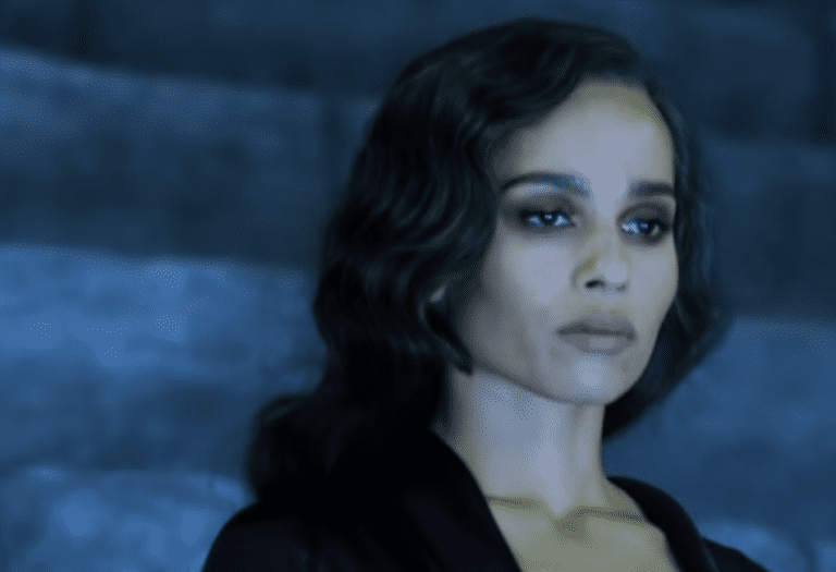 Leta Lestrange Character Bio - Wizards Welcome