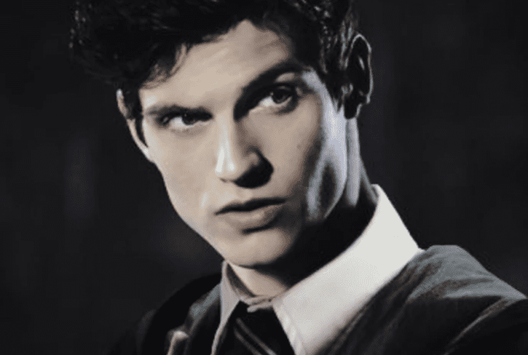 Theodore Nott Character Bio - Wizards Welcome