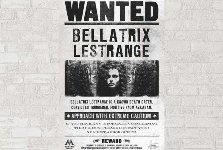 Iconic Harry Potter Posters Guide - Wizards Welcome