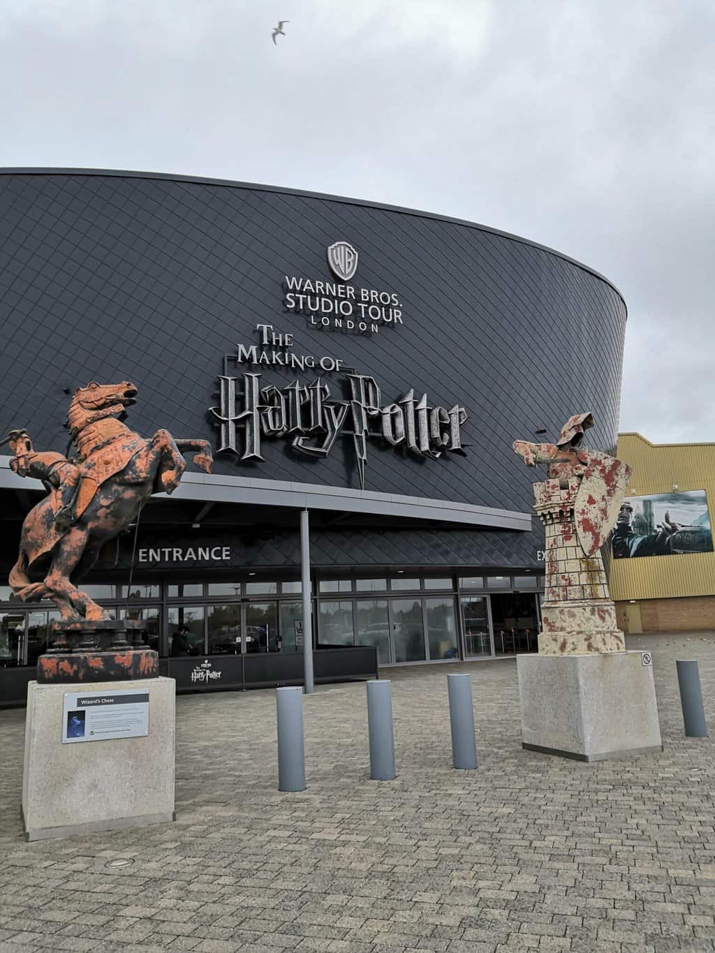 Cormac McLaggen Character Bio - Wizards Welcome