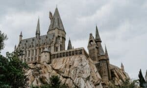 Village of Hogsmeade Guide - Wizards Welcome